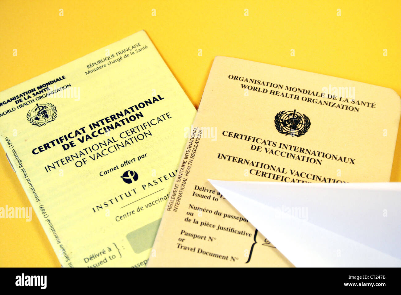 CERTIFICATE OF VACCINATION Stock Photo - Alamy