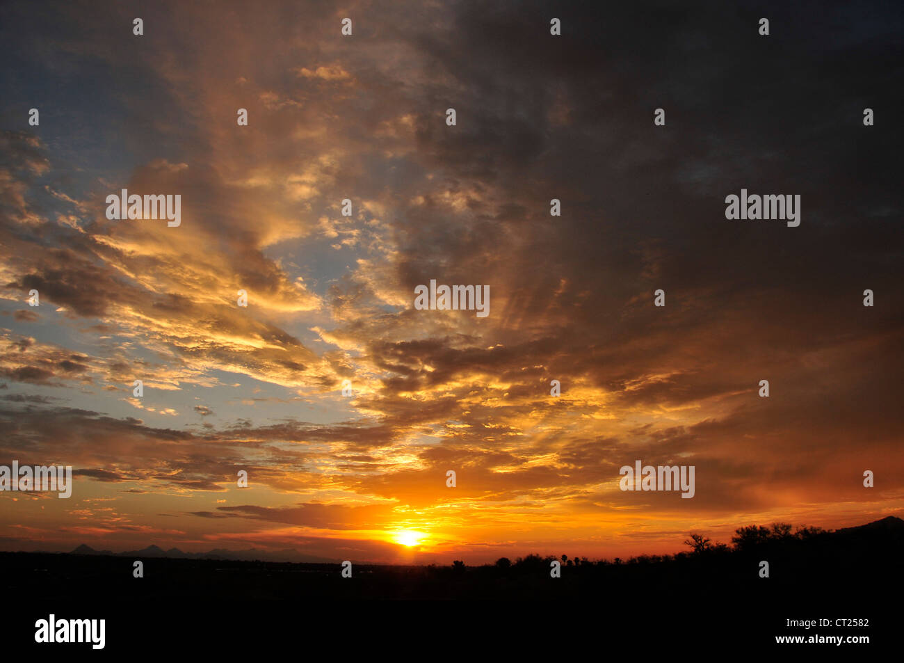 A sunset colors the sky during monsoon season in the Sonoran Desert ...