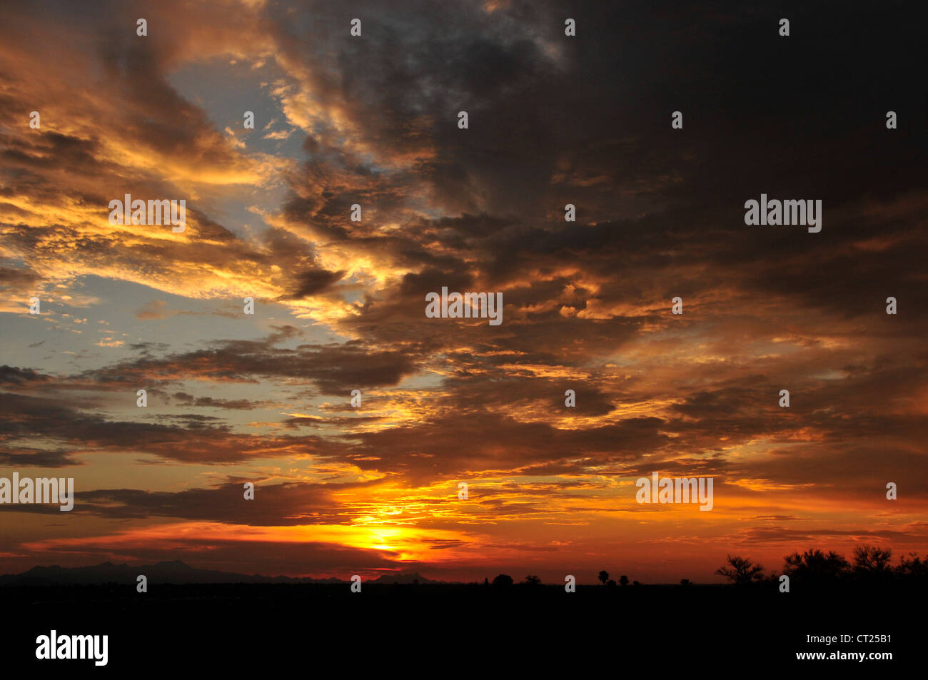 A sunset colors the sky during monsoon season in the Sonoran Desert ...