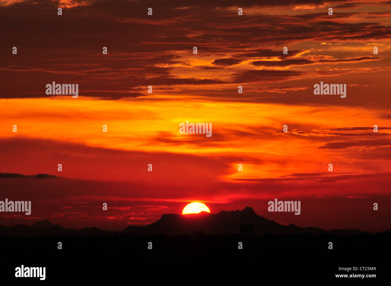 A sunset colors the sky during monsoon season in the Sonoran Desert ...
