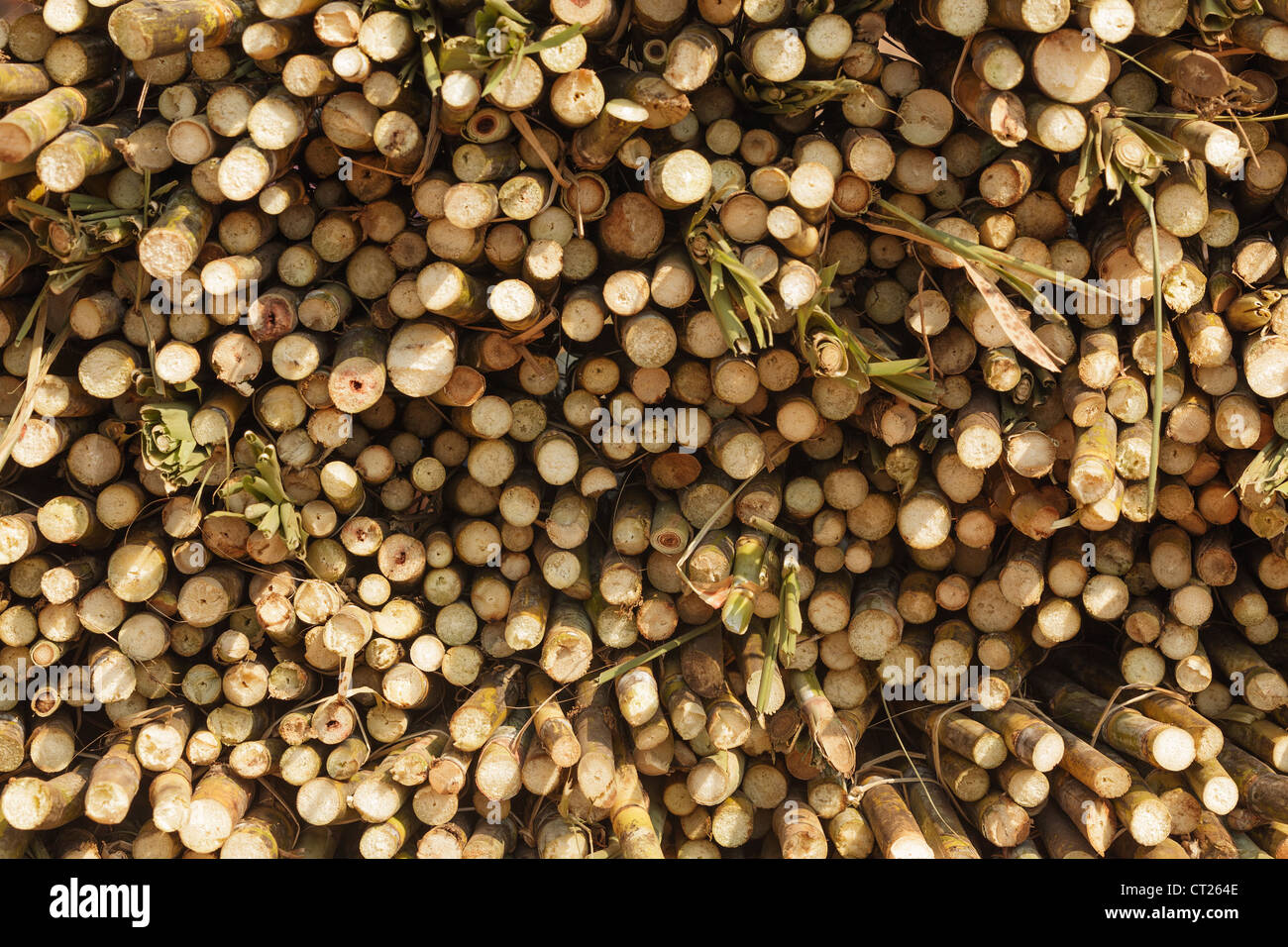 cane sugar stack in asian market, Laos Stock Photo - Alamy