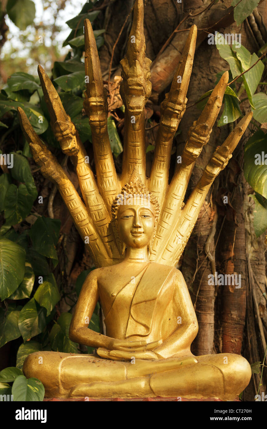 Seven headed hi-res stock photography and images - Alamy