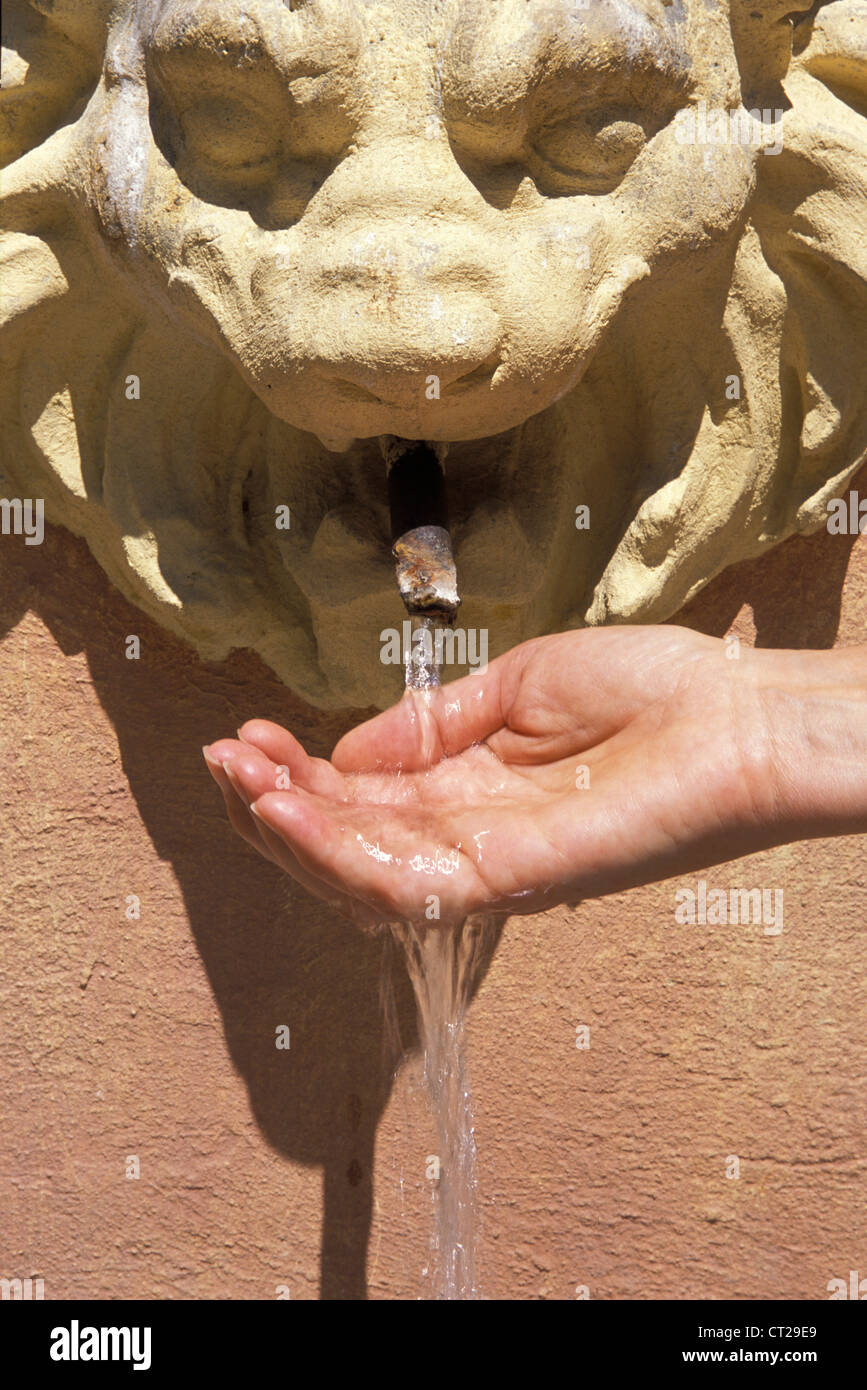 Washing the lions hi-res stock photography and images - Alamy
