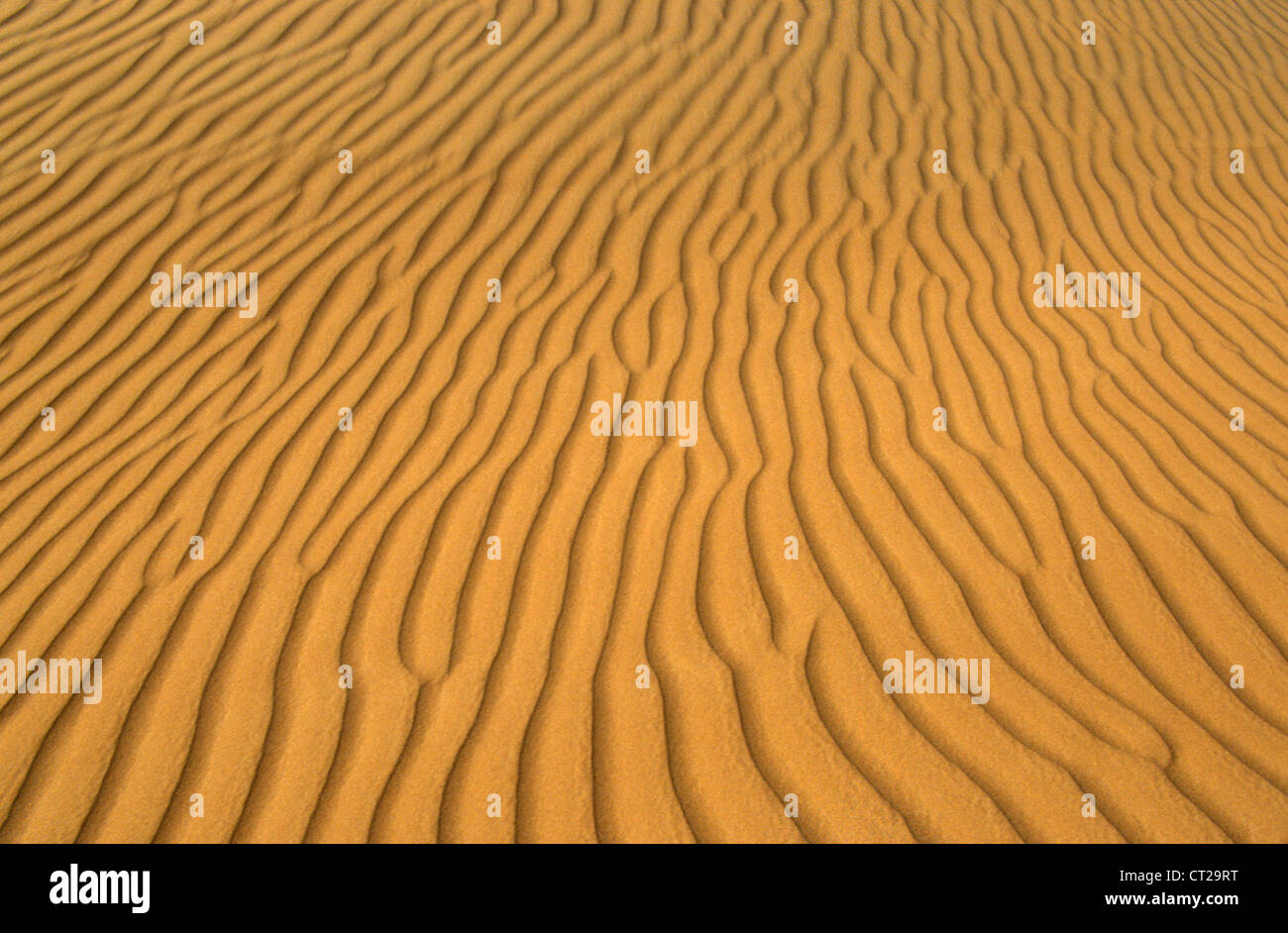 Striated designs hi-res stock photography and images - Alamy