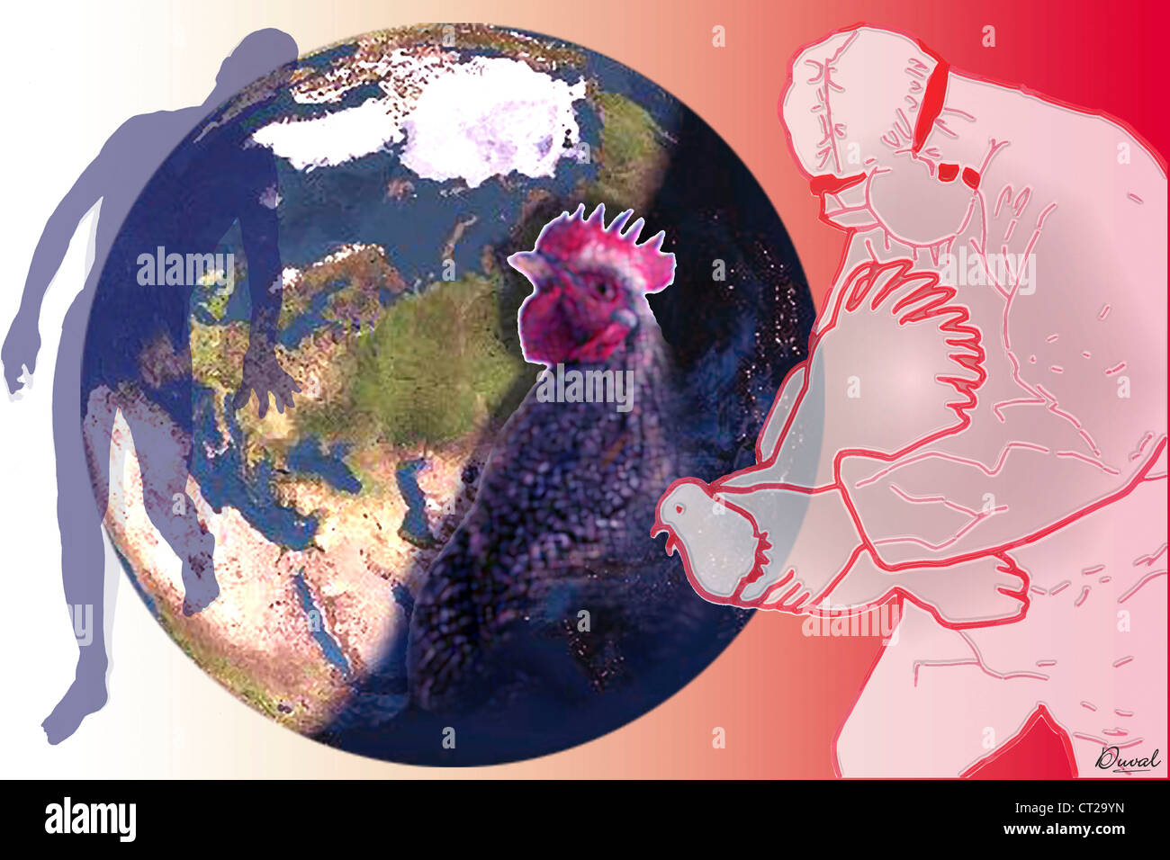 AVIAN INFLUENZA, DRAWING Stock Photo - Alamy