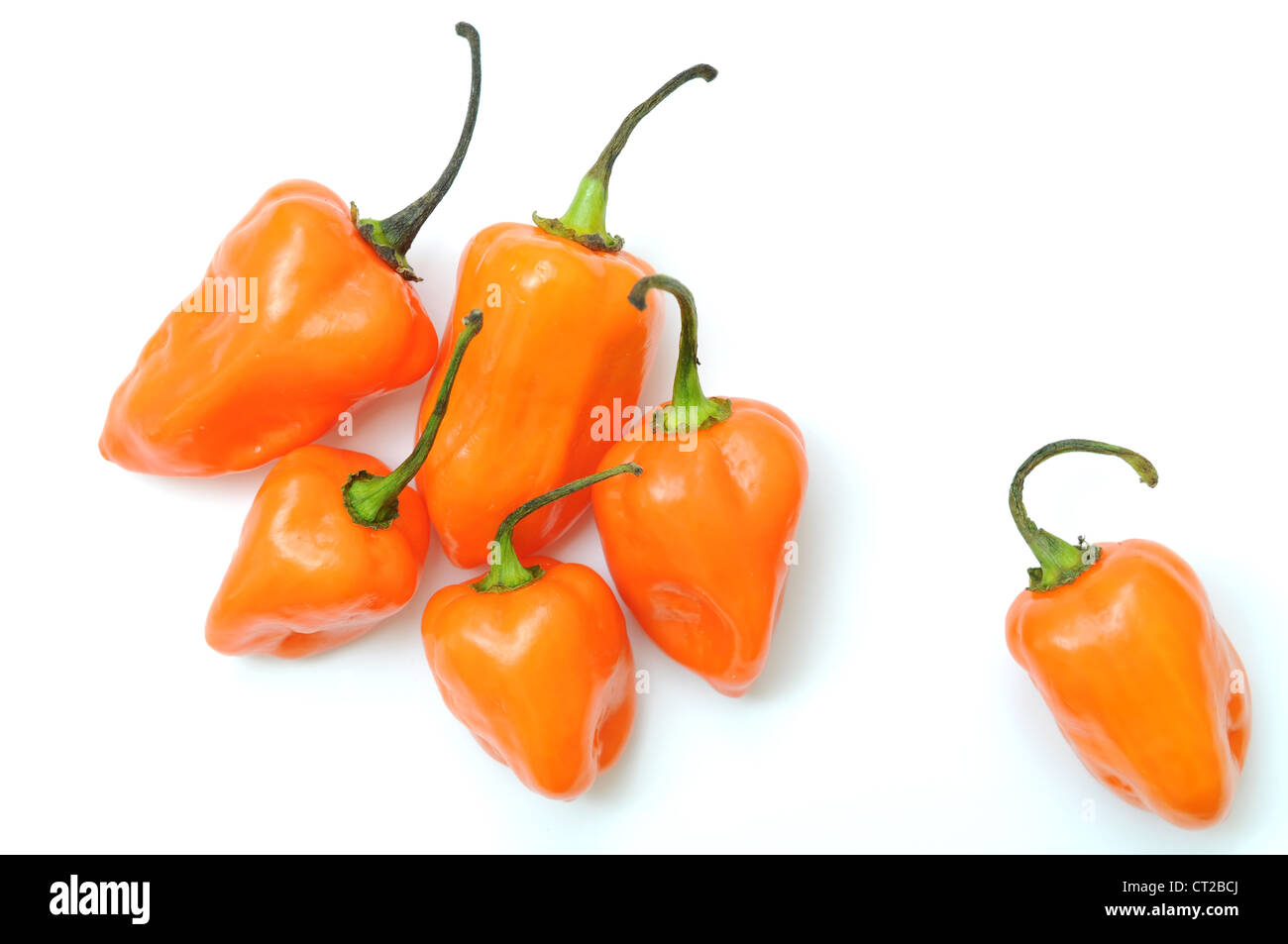 Chilli pattern hi-res stock photography and images - Alamy