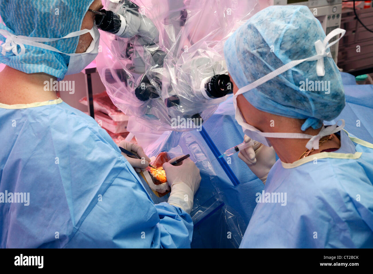 Clinical microsurgery hi-res stock photography and images - Alamy
