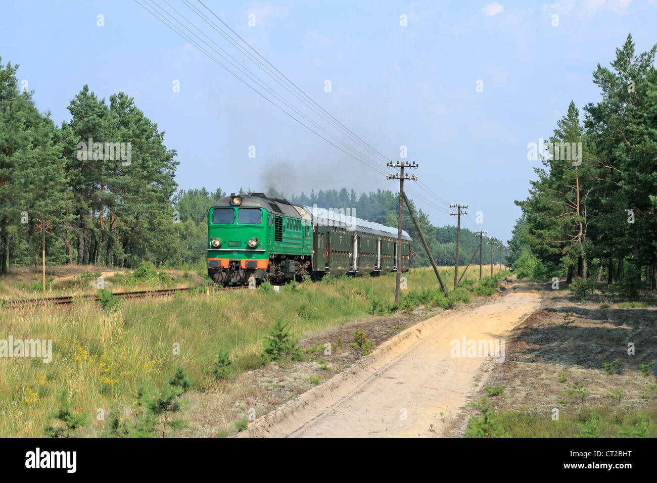 Passenger train passing through the forest Stock Photo - Alamy