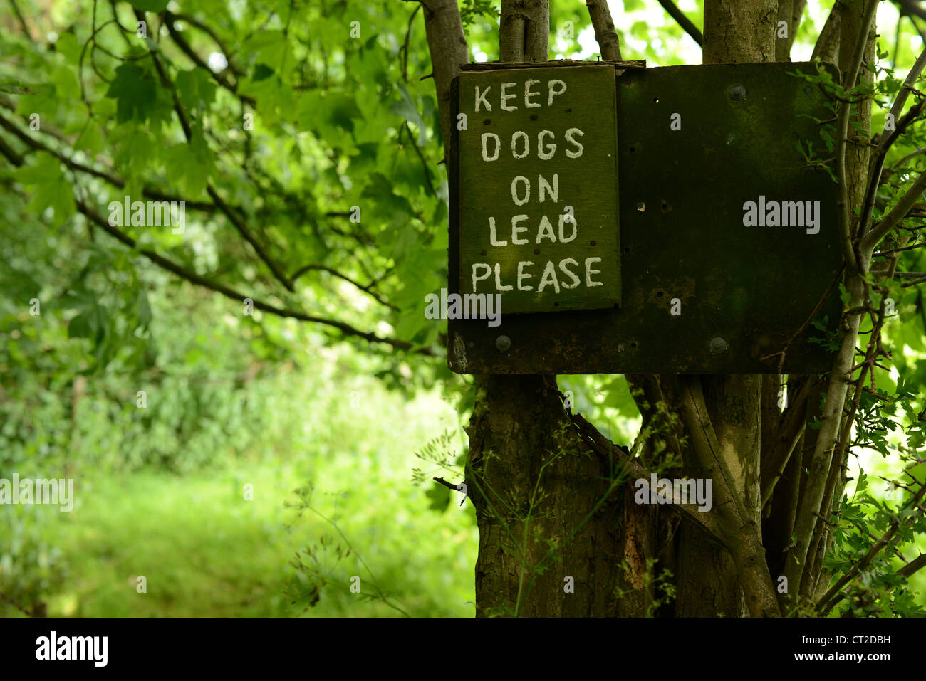 Keep dogs on lead. Signpost on a sheep farm Stock Photo - Alamy