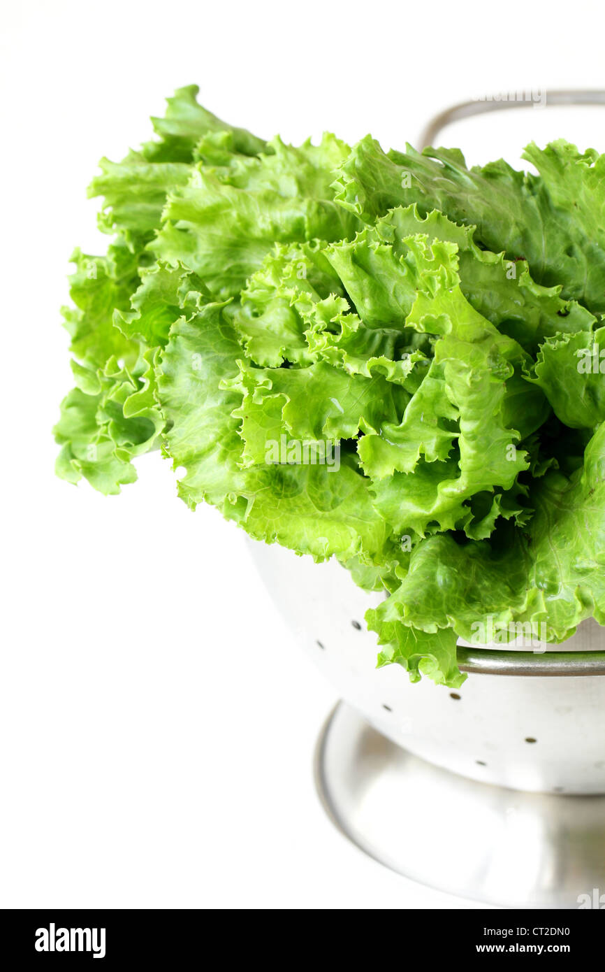 green lettuce in metal colander on a white background Stock Photo - Alamy