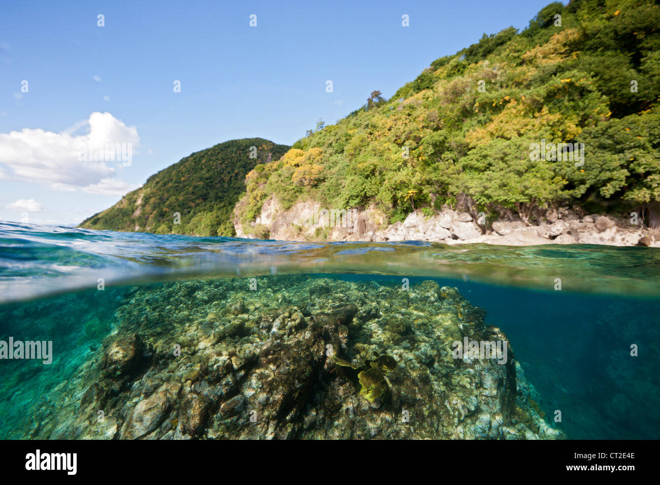 Caribbean images hi-res stock photography and images - Alamy