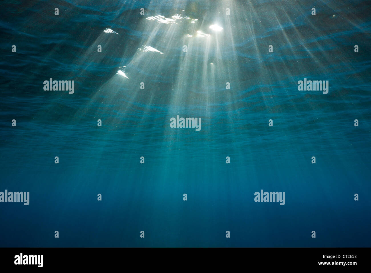 Sunbeams filtering through Water Surface, Caribbean Sea, Dominica Stock ...