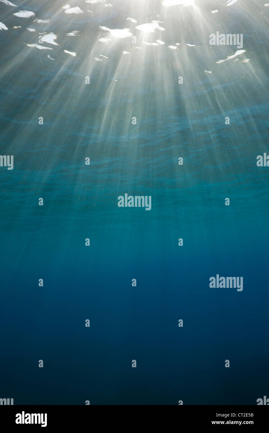 Sunbeams filtering through water hi-res stock photography and images ...