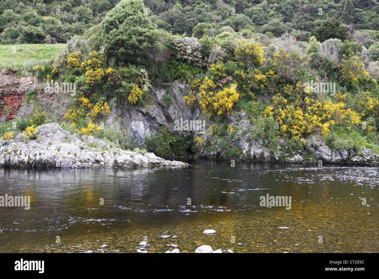 Wellington New Zealand, Dry Creek Quarry Lord of The Rings filming ...