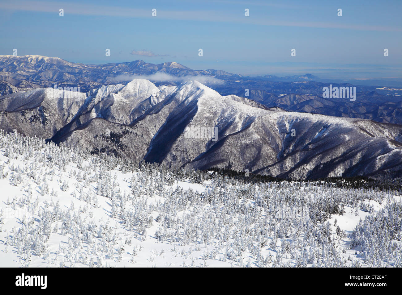 Soft rime on mount Zao, Yamagata Tohoku Japan Stock Photo - Alamy