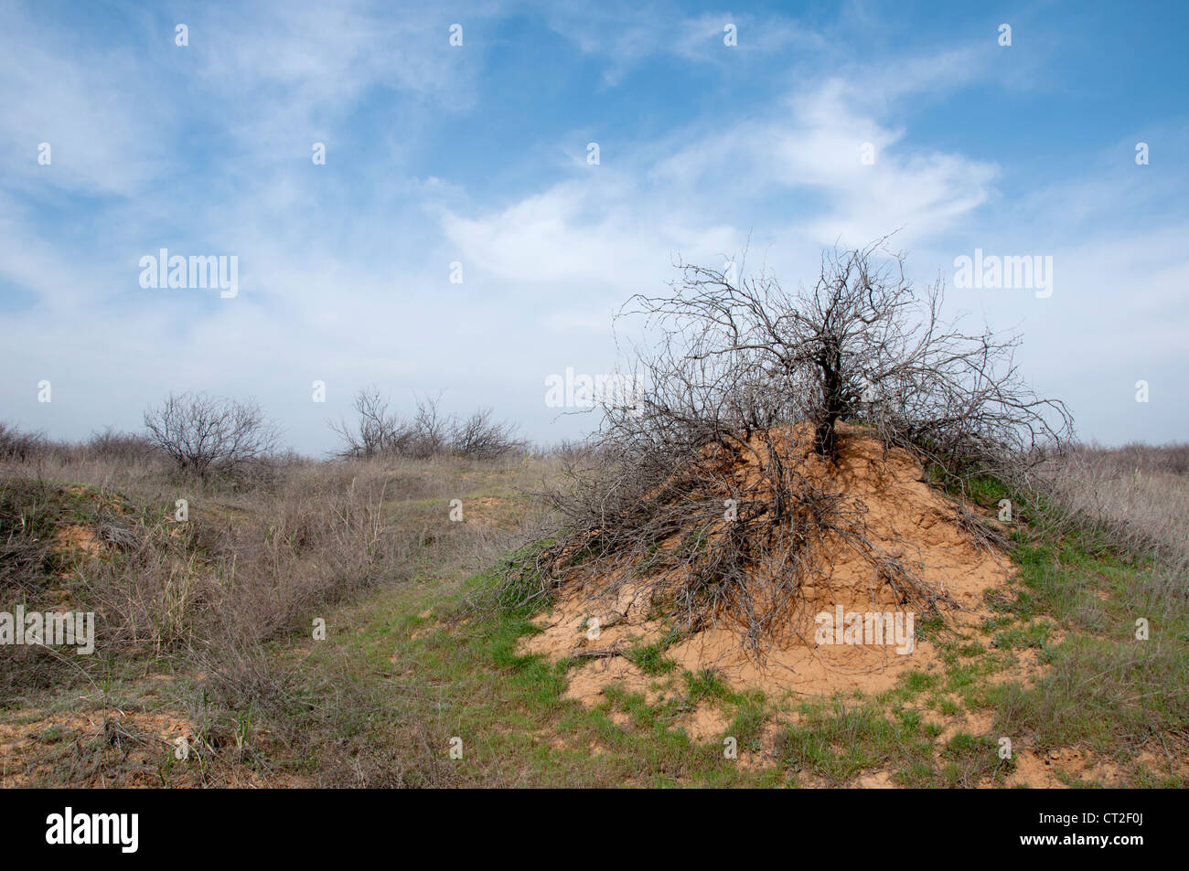 Beautiful scenery of steppe and Mound Stock Photo - Alamy