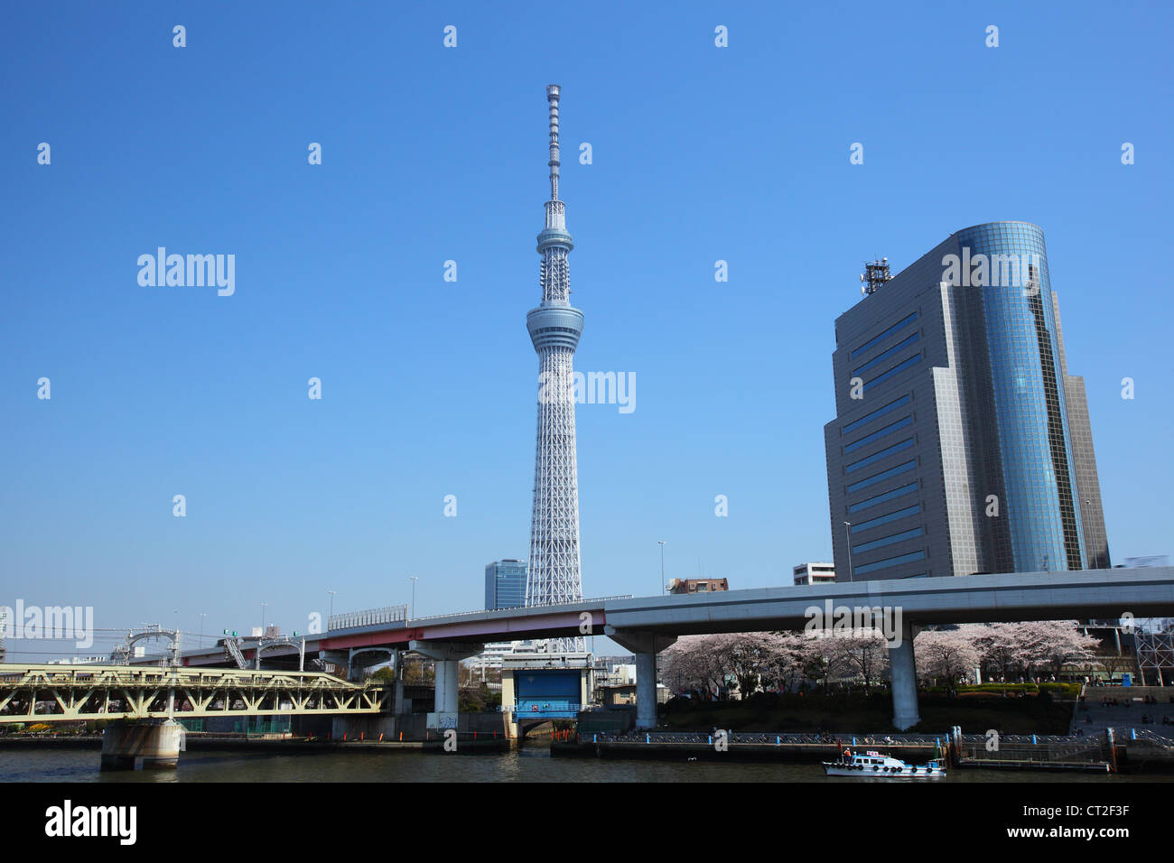 Tokyo sky tree, Japanese radio tower Stock Photo - Alamy