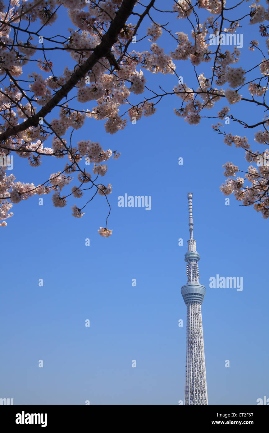 Tokyo japan tokyo hi-res stock photography and images - Alamy