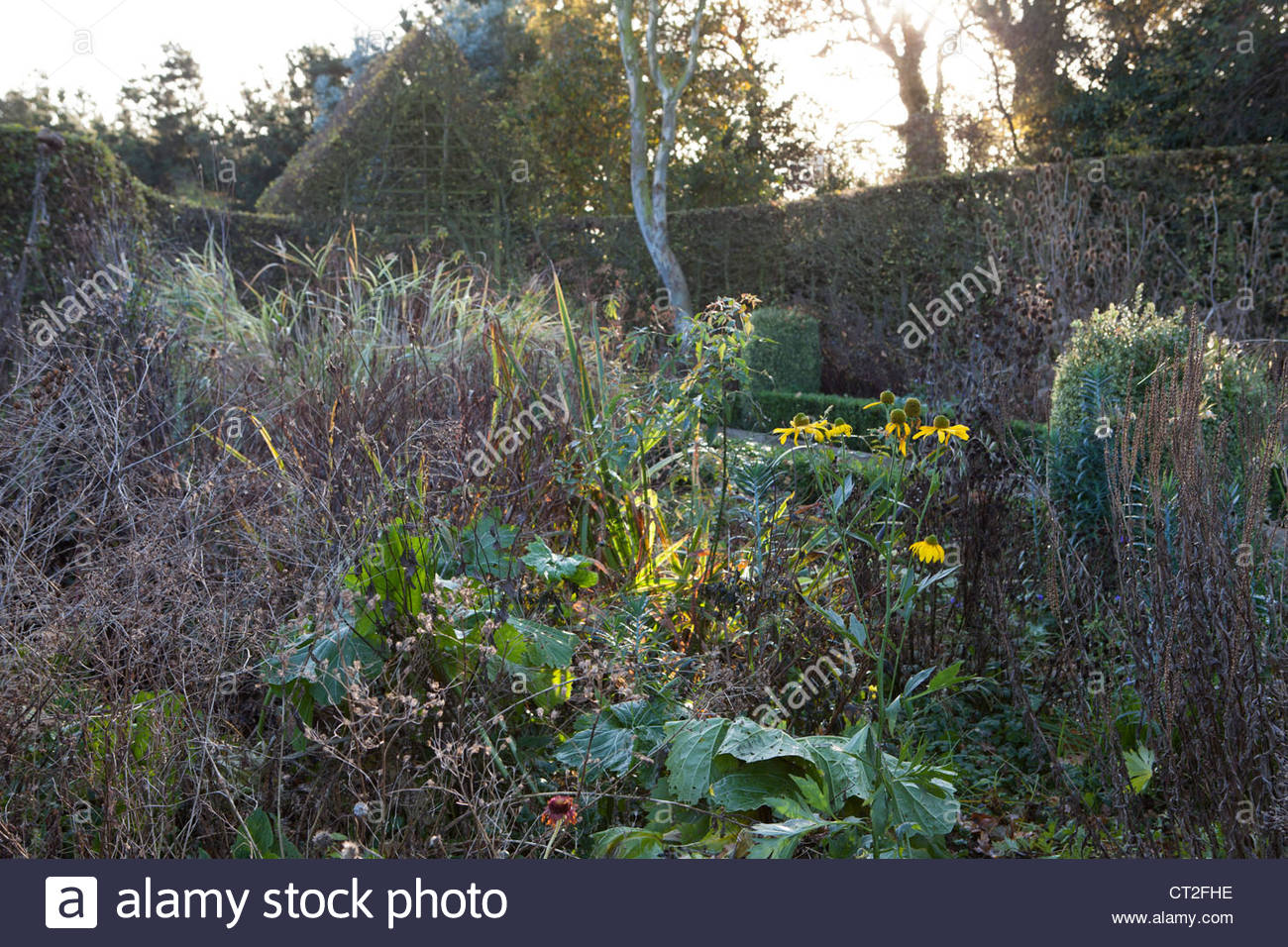 East Ruston Old Vicarage Stock Photos & East Ruston Old Vicarage Stock ...