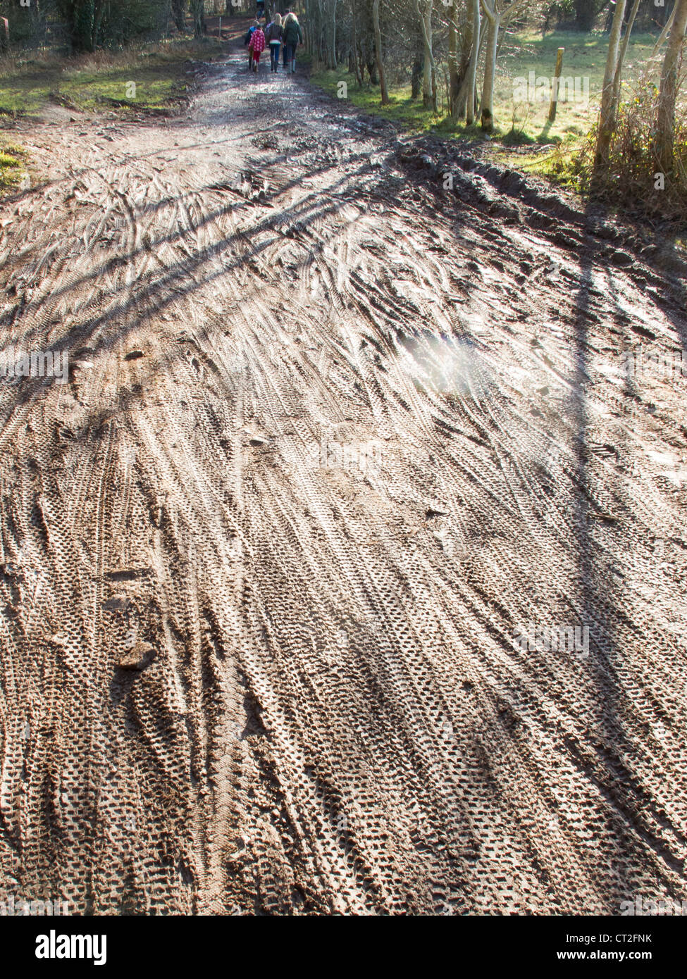 Cycle tracks in wintry muddy track Stock Photo - Alamy