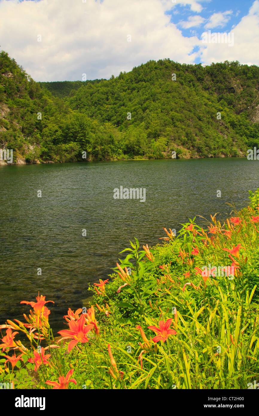WILBUR RESERVOIR, ELIZABETHTON, TENNESSEE, USA Stock Photo - Alamy