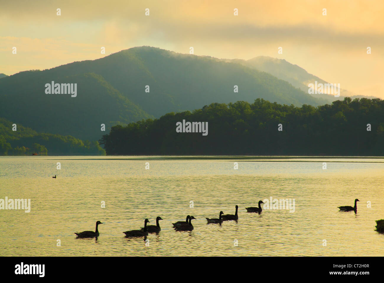 Geese at Sunrise Beside Appalachian Trail, Shook Branch Recreation Area ...