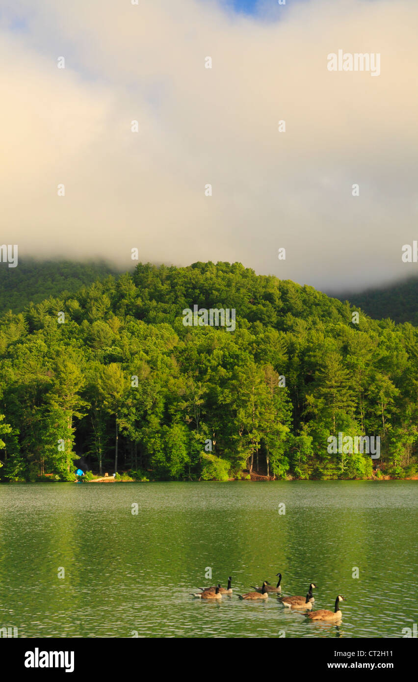 Watauga reservoir hi-res stock photography and images - Alamy