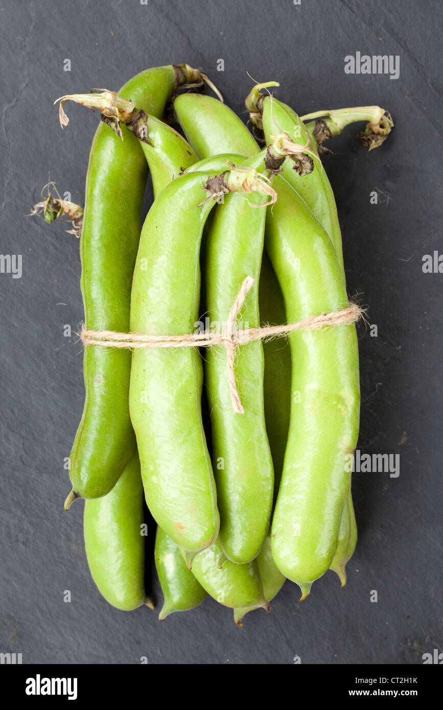 Fava beans macro hi-res stock photography and images - Alamy