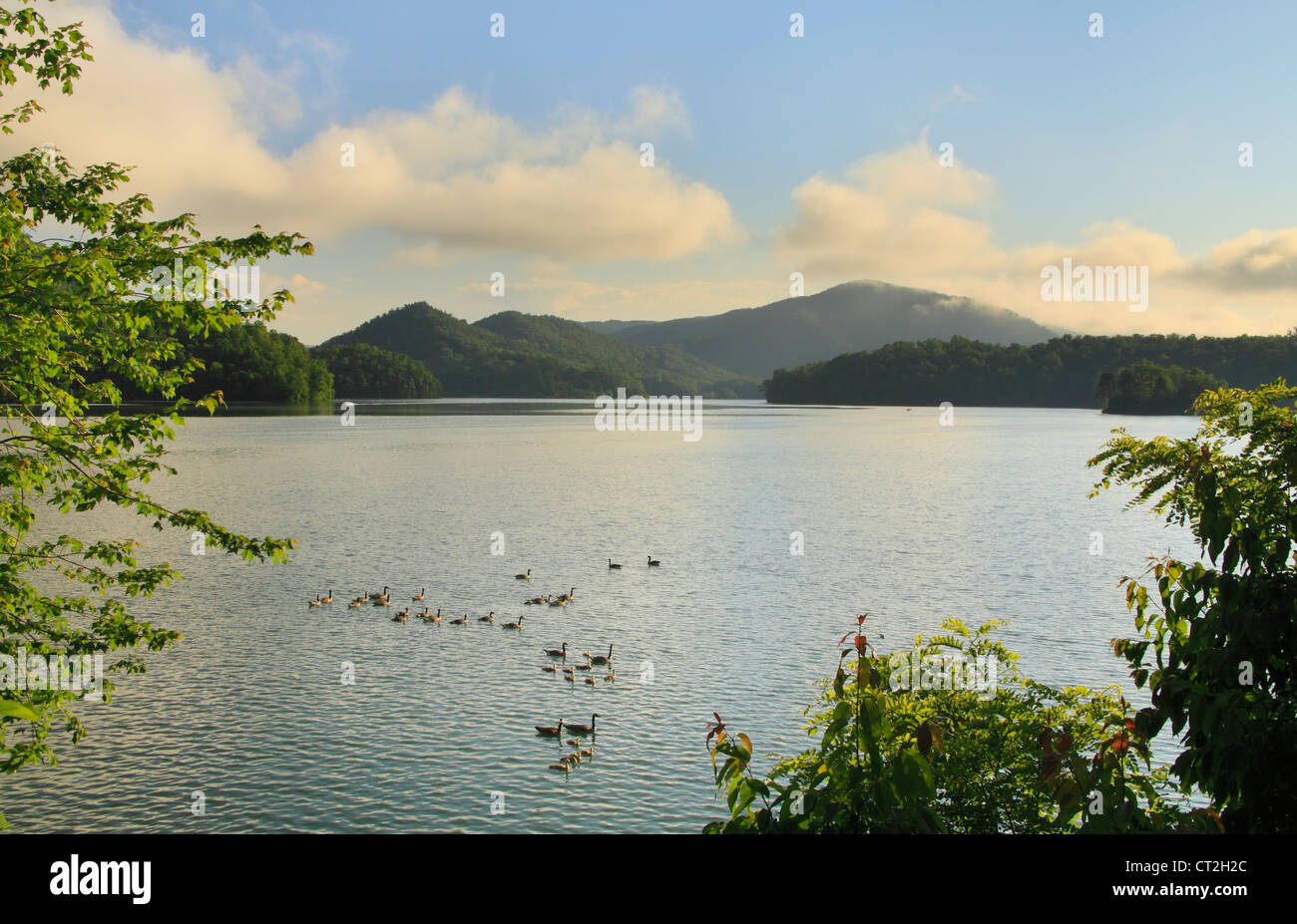 Geese at Sunrise Beside Appalachian Trail, Shook Branch Recreation Area ...