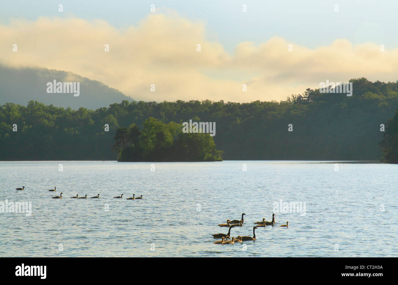 Geese at Sunrise Beside Appalachian Trail, Shook Branch Recreation Area ...