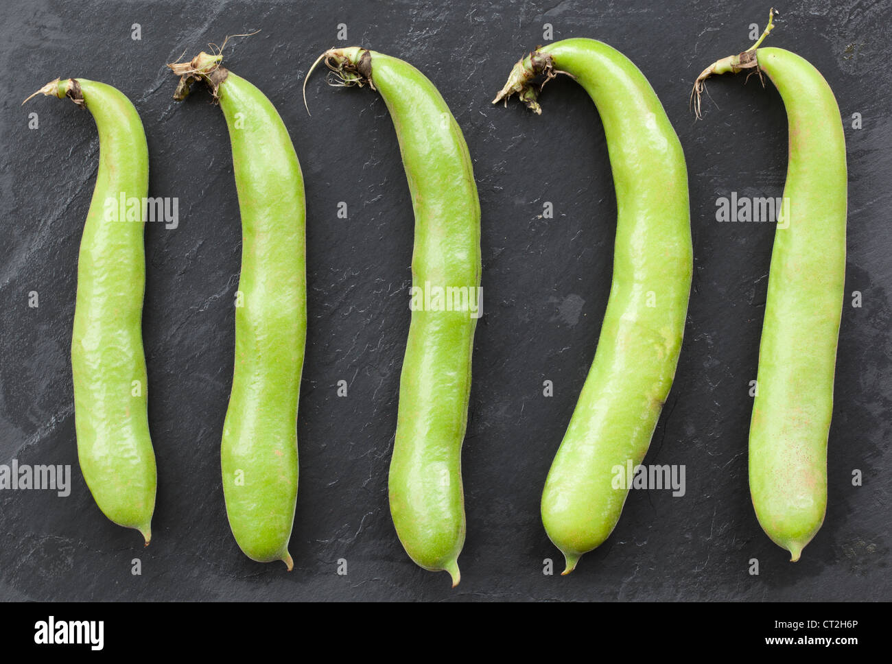 Fava Bunch High Resolution Stock Photography and Images - Alamy