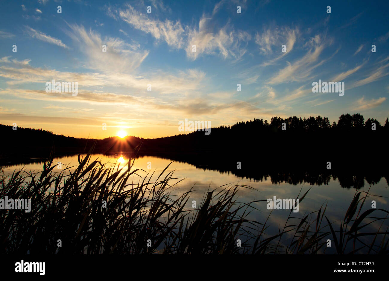Sunset over night forest hi-res stock photography and images - Alamy