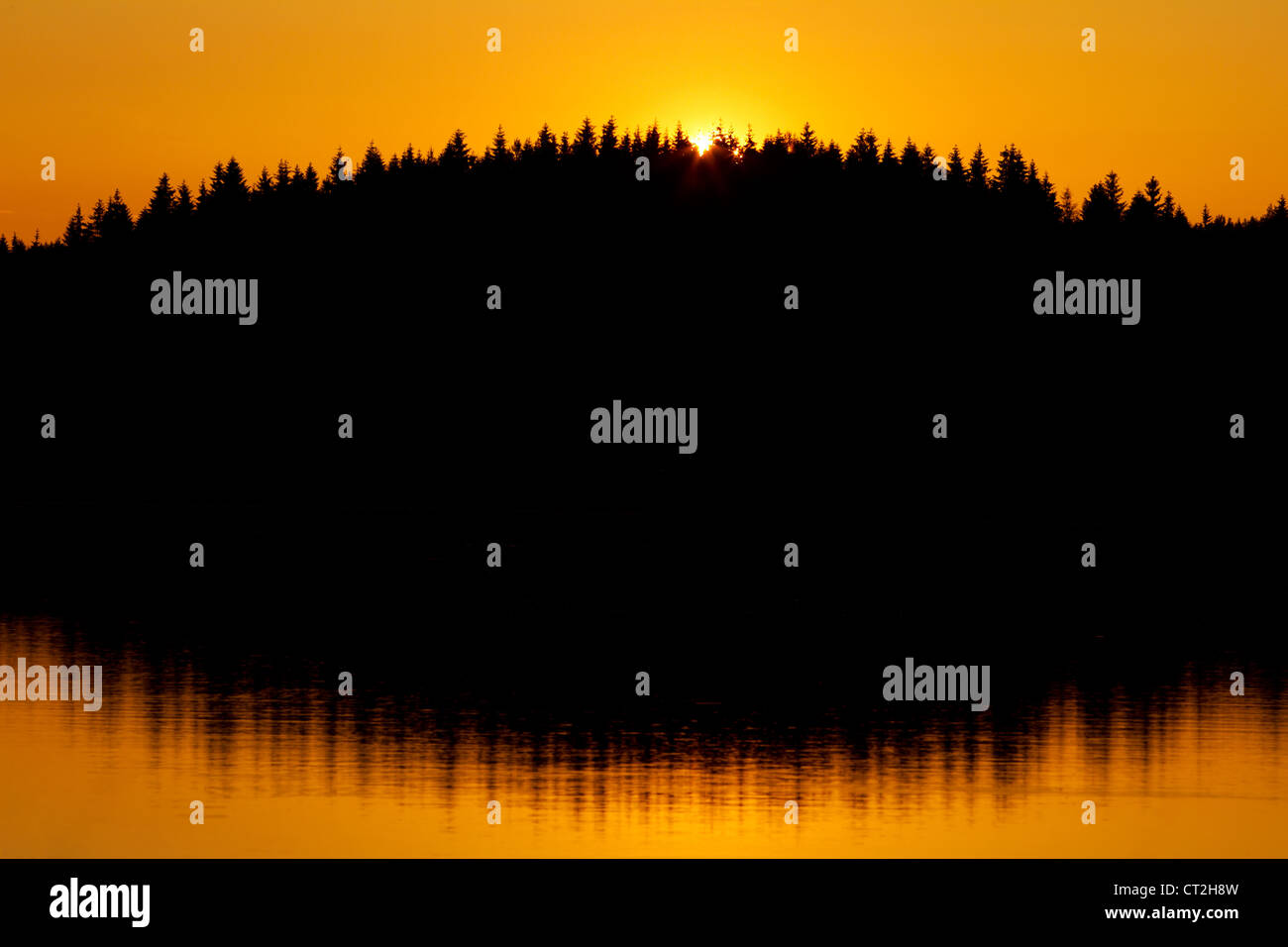 Sunset pine trees silhouette hi-res stock photography and images - Alamy