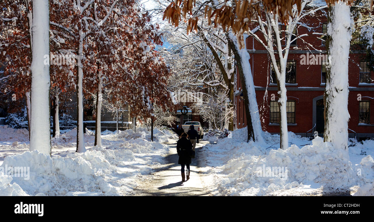 Blizzard day High Resolution Stock Photography and Images - Alamy