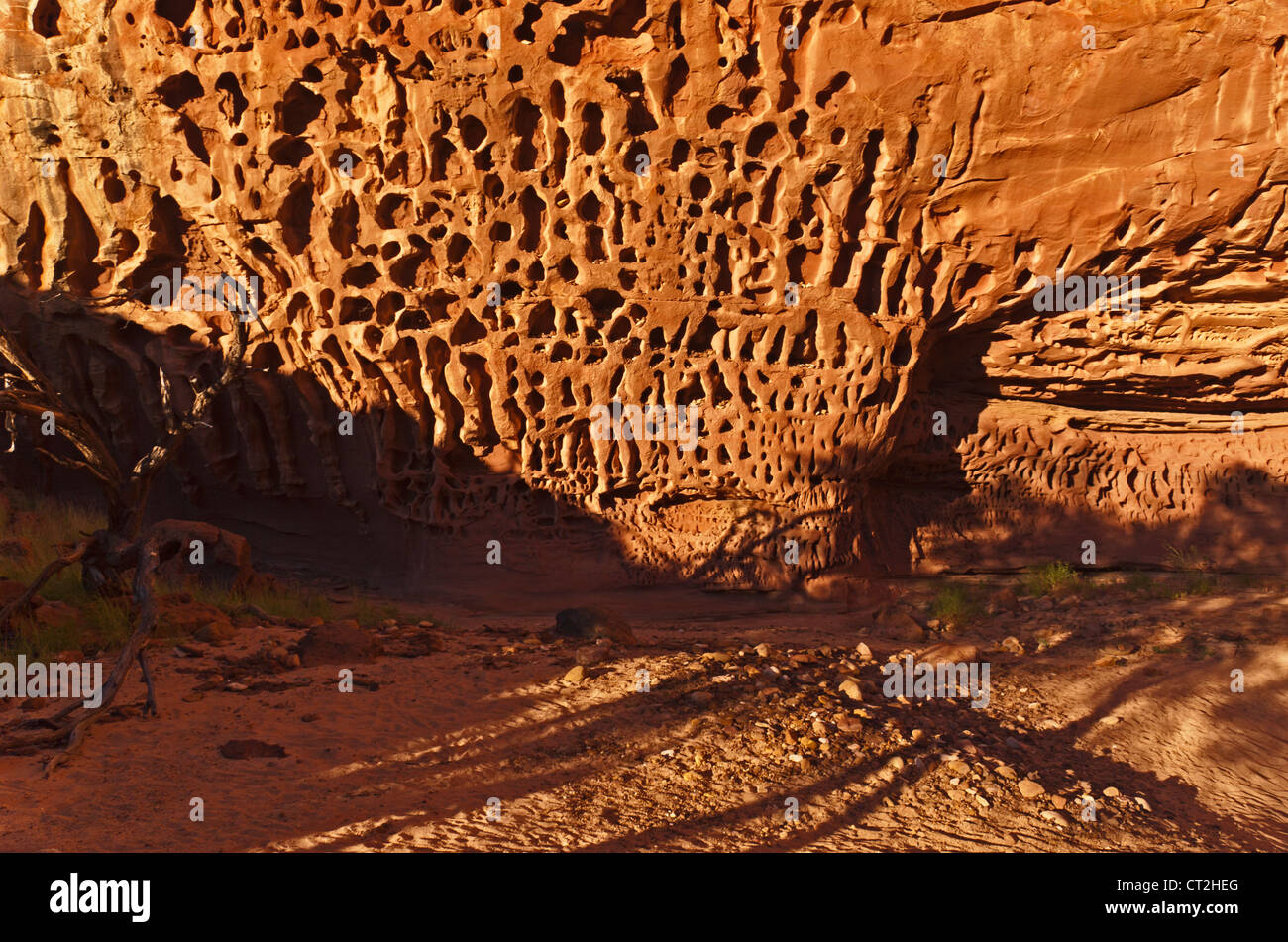 KENNEDY RANGE NATIONAL PARK, HONEYCOMB GORGE, WESTERN AUSTRALIA ...