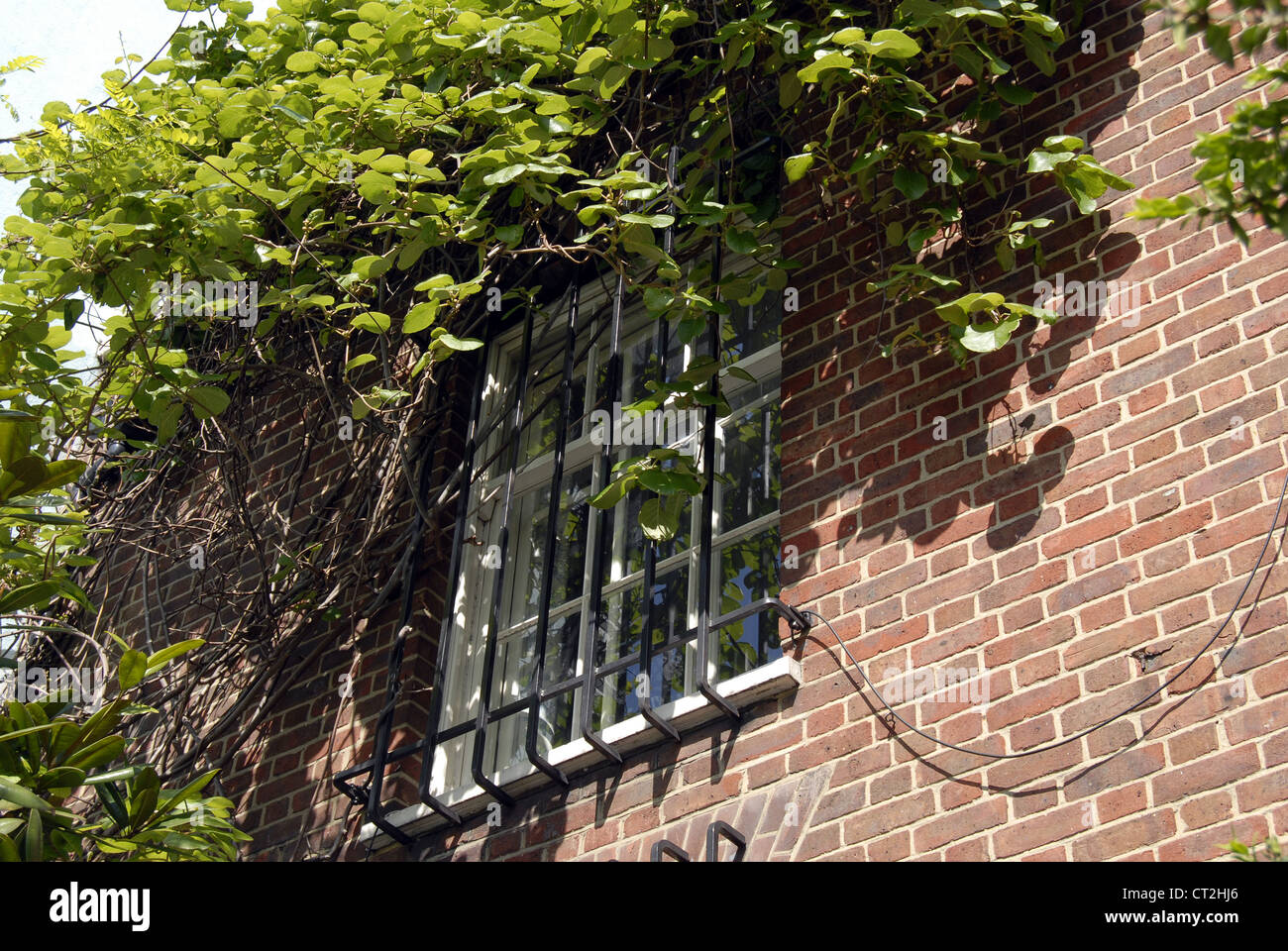 Cheyne Walk Houses High Resolution Stock Photography and Images - Alamy