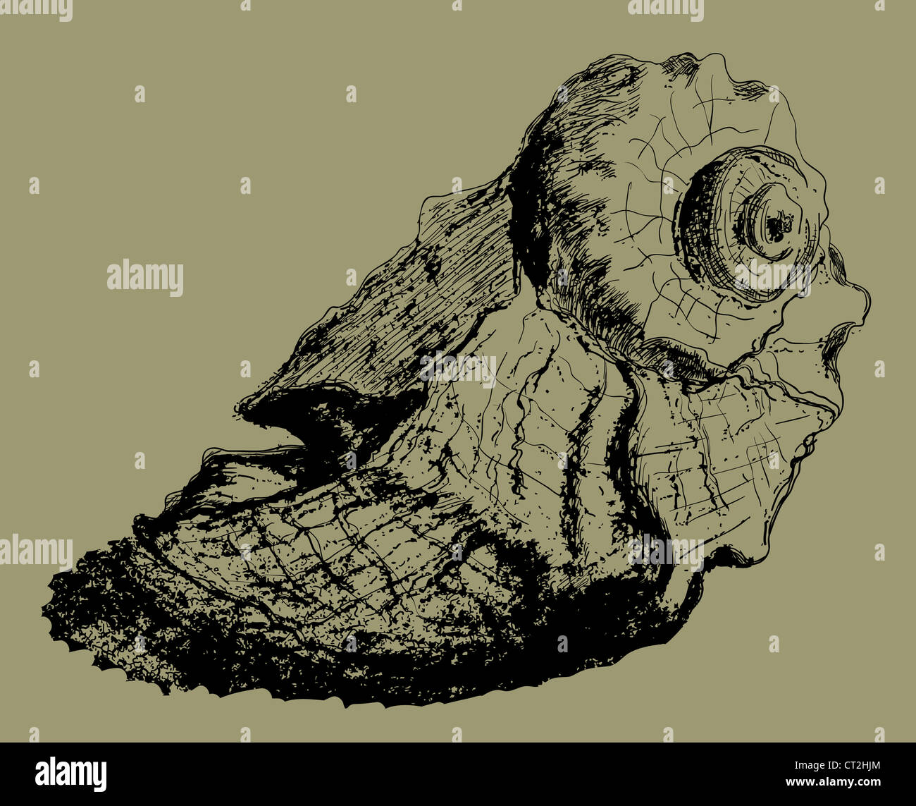 Sepia ink drawing hi-res stock photography and images - Alamy