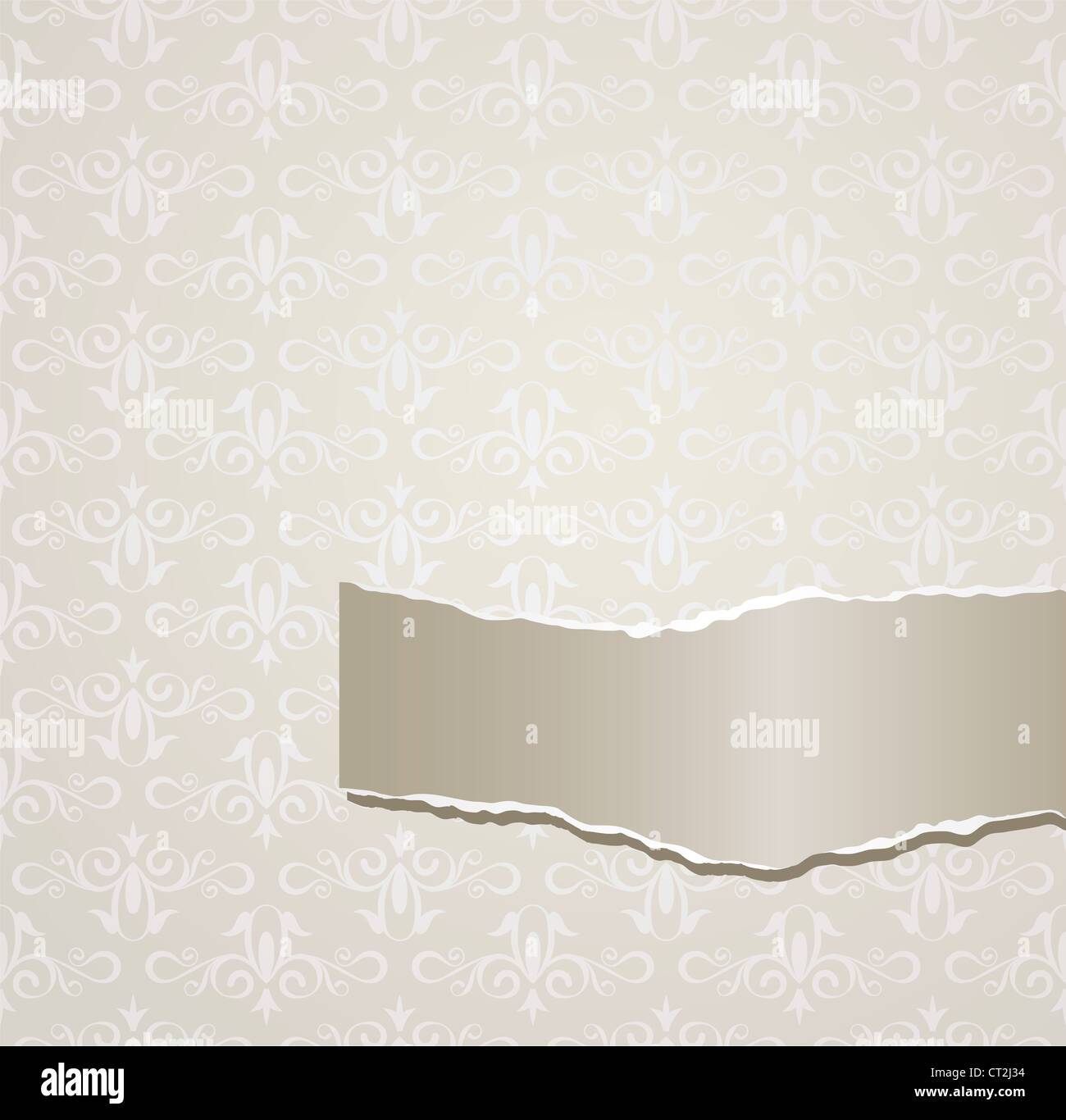 The gray background with torn paper for your text Stock Photo - Alamy