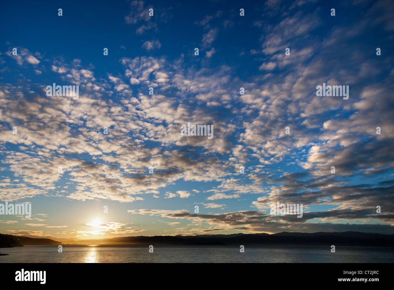 Sunrise in Wellington Harbour, New Zealand 8 Stock Photo - Alamy
