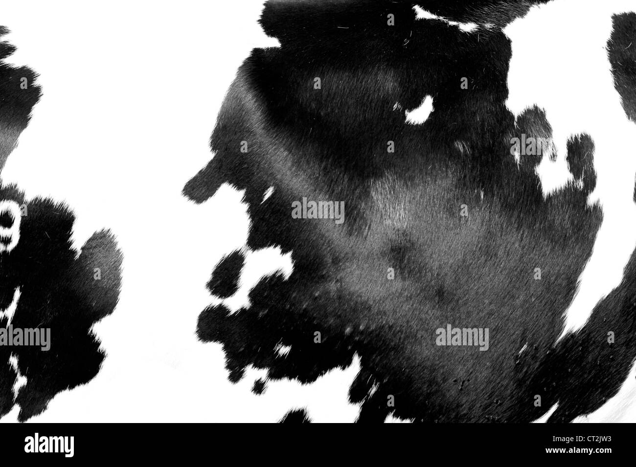 Cow texture hi-res stock photography and images - Alamy