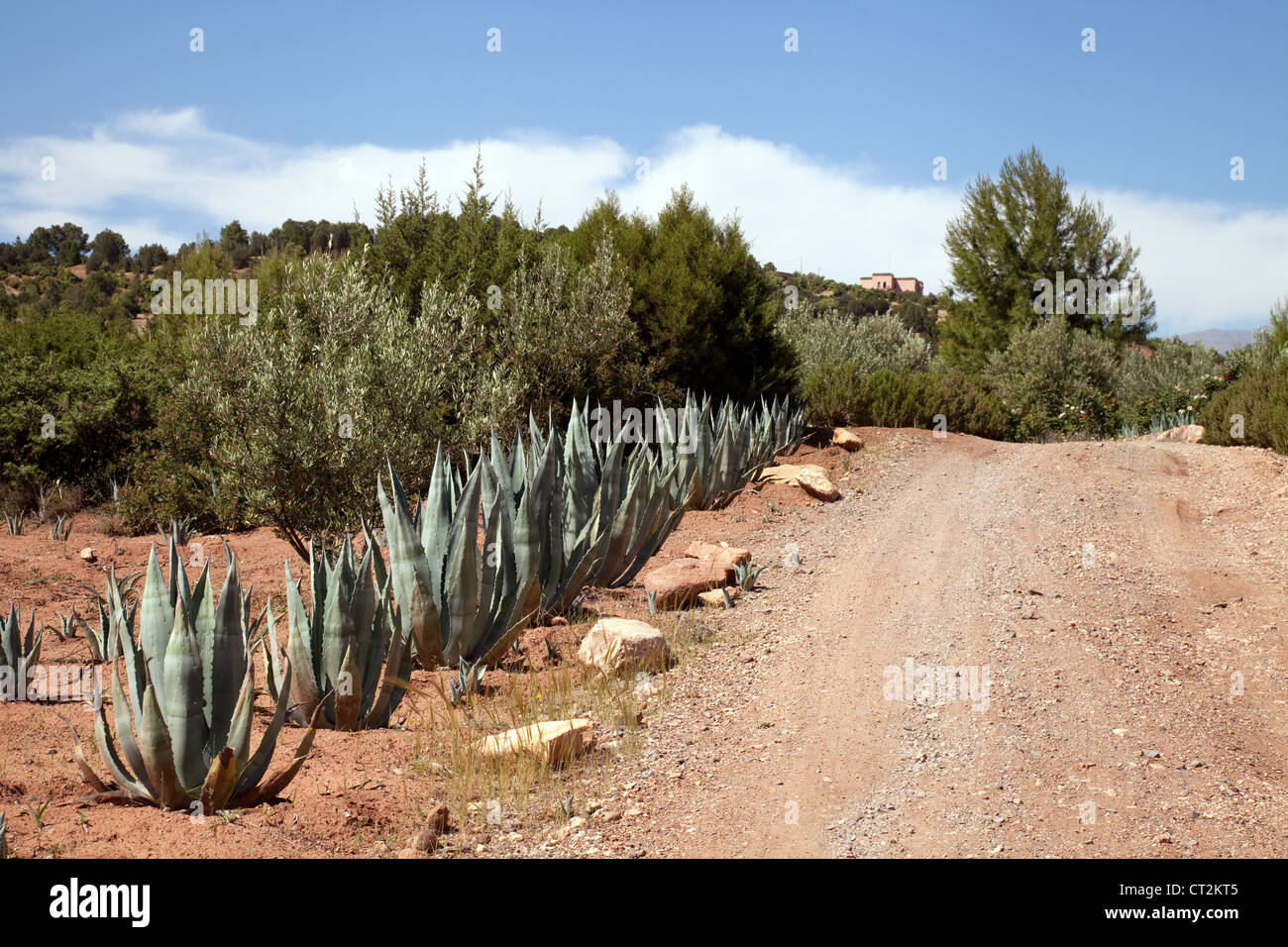 Atlas mountain region hi-res stock photography and images - Alamy