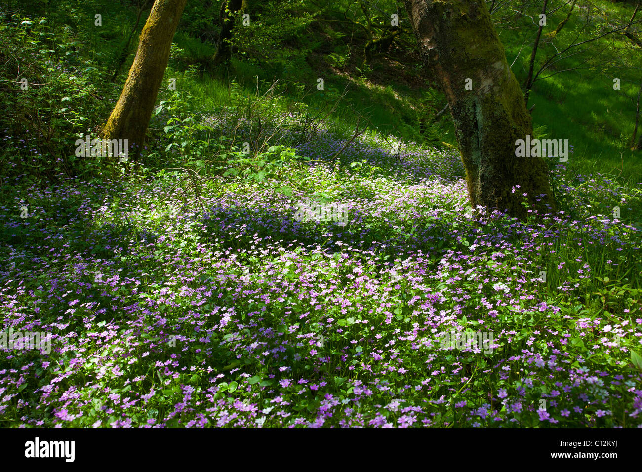 Barrow bridge hi-res stock photography and images - Alamy