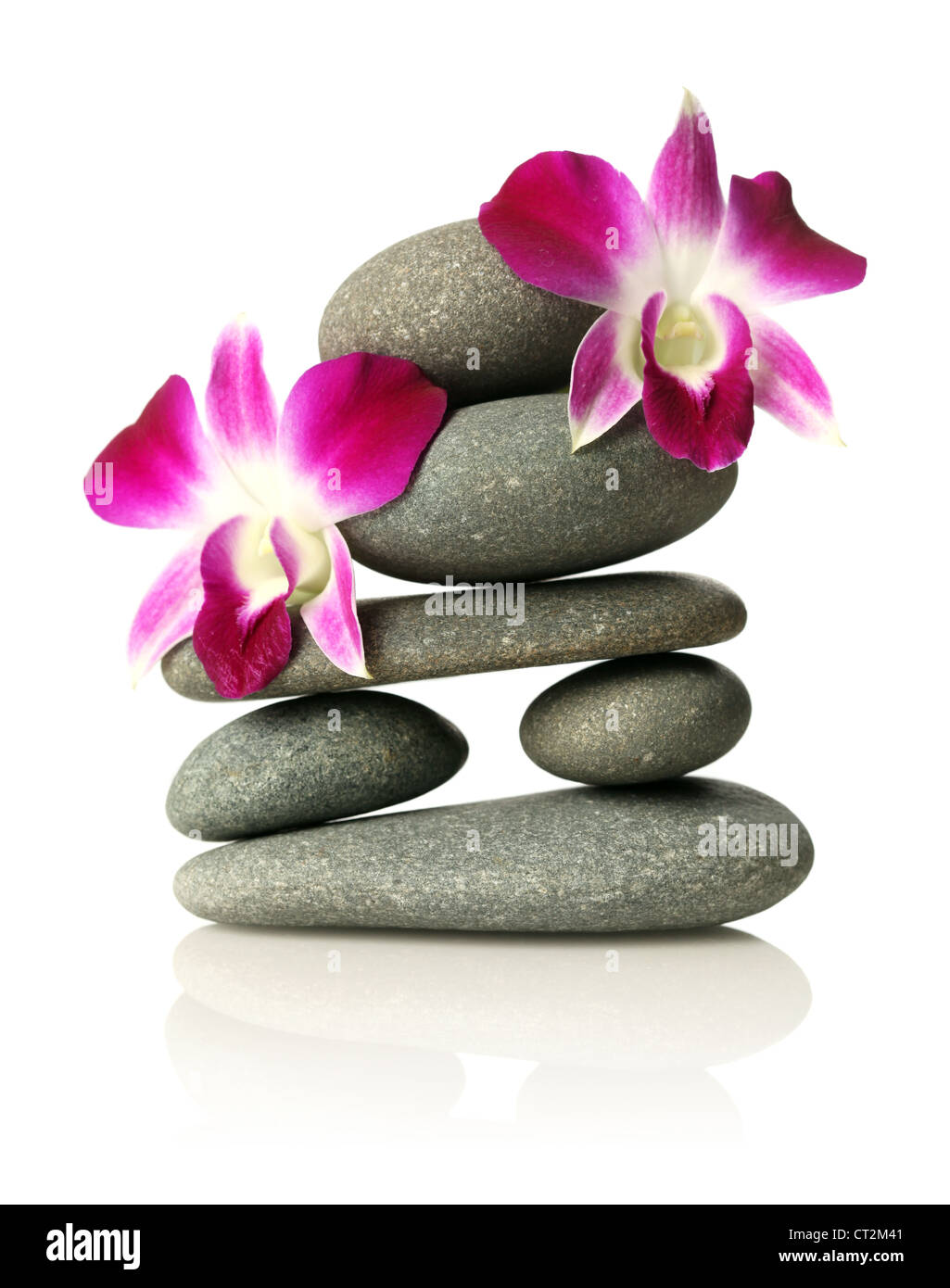 Orchid flower stones Cut Out Stock Images & Pictures - Alamy