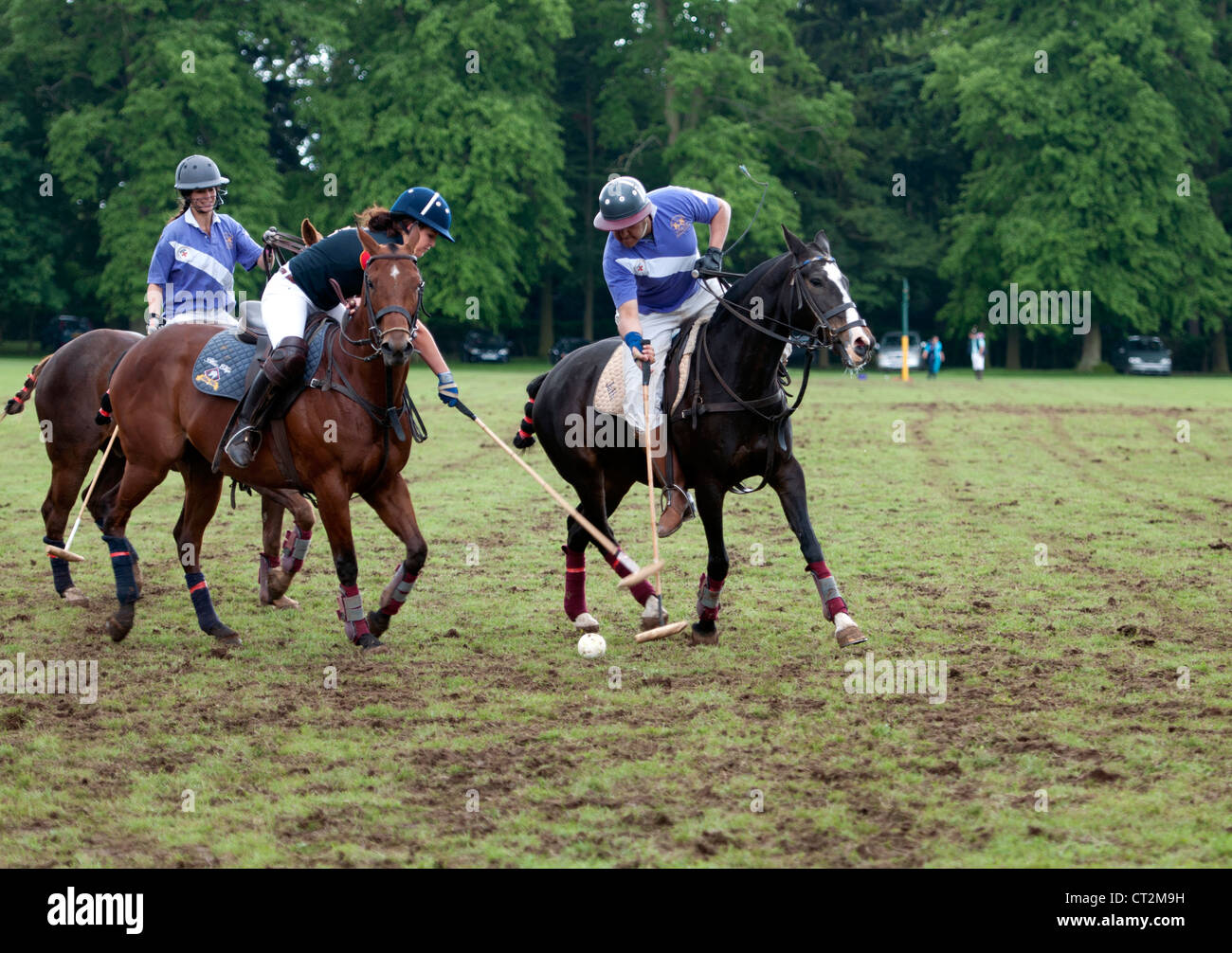 National University Polo Championships Stock Photo - Alamy