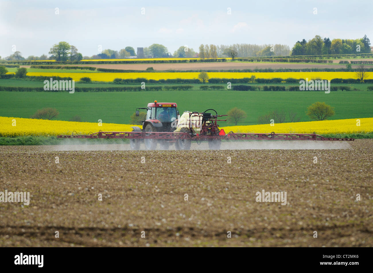 Sugarbeet uk hi-res stock photography and images - Alamy