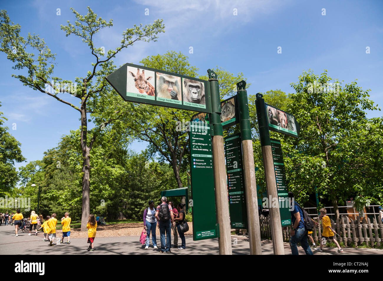 Adventure learning educational fun trees bronx zoo hi-res stock ...