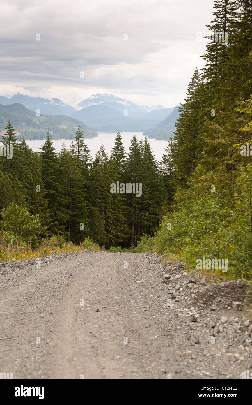 A logging road heading towards Johnstone Strait on Vancouver Island ...