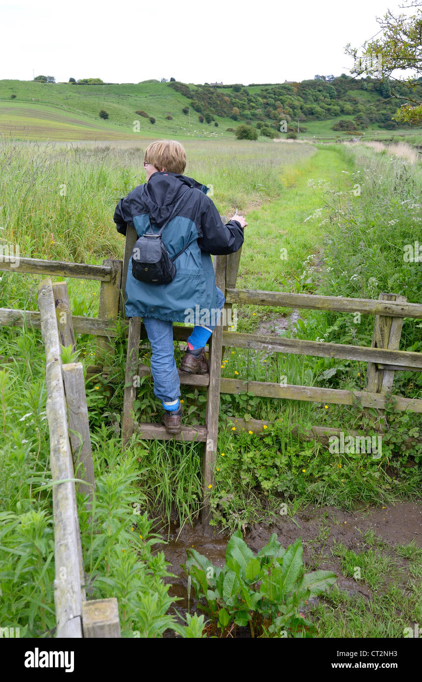 Female walker traversing wooden stile, public path beside the river Aln ...