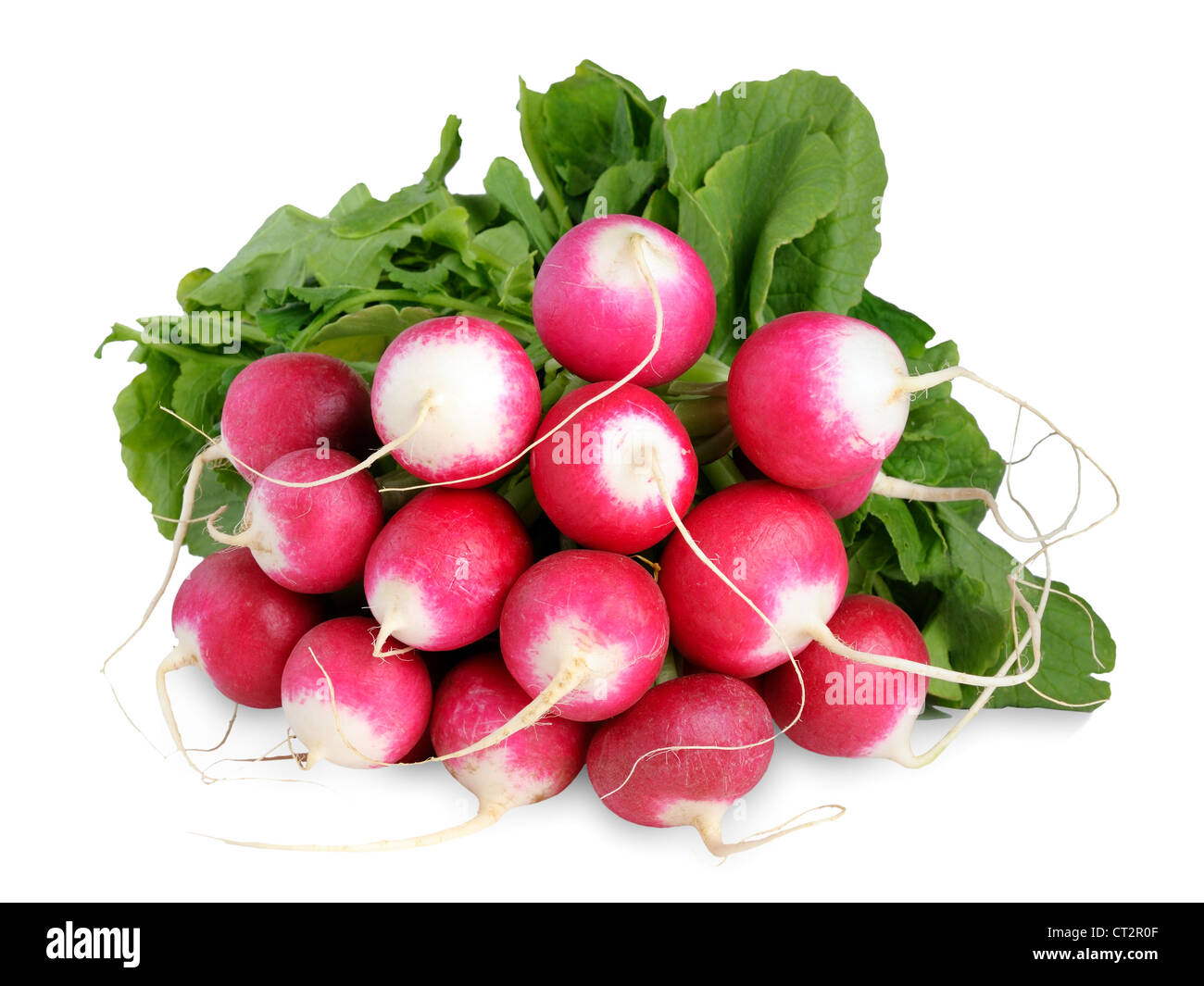 Bunch of radishes isolated on white background Stock Photo - Alamy