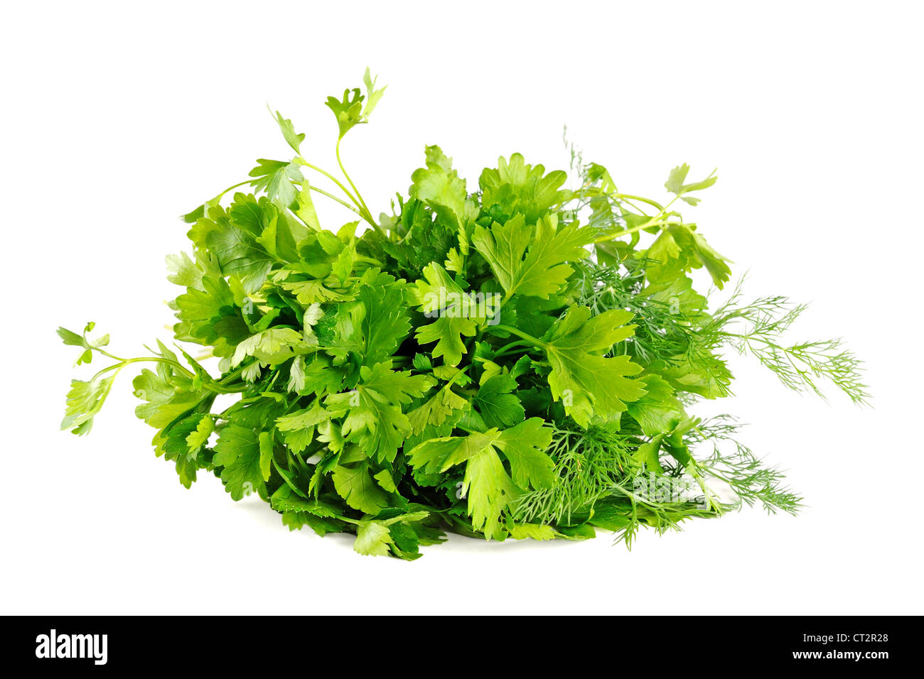 Parsley isolated on white background Stock Photo - Alamy